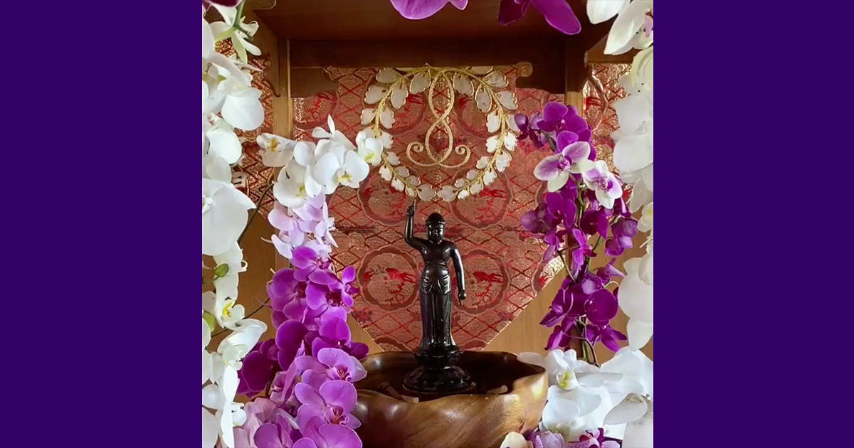 Your virtual hanamido: Bathe baby Buddha in sweet tea – Honpa Hongwanji ...